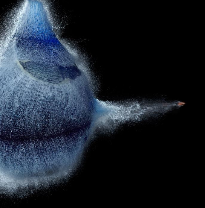 Technik - Ballistik eines Büchsengeschosses - Natur- und Jagdschule ...